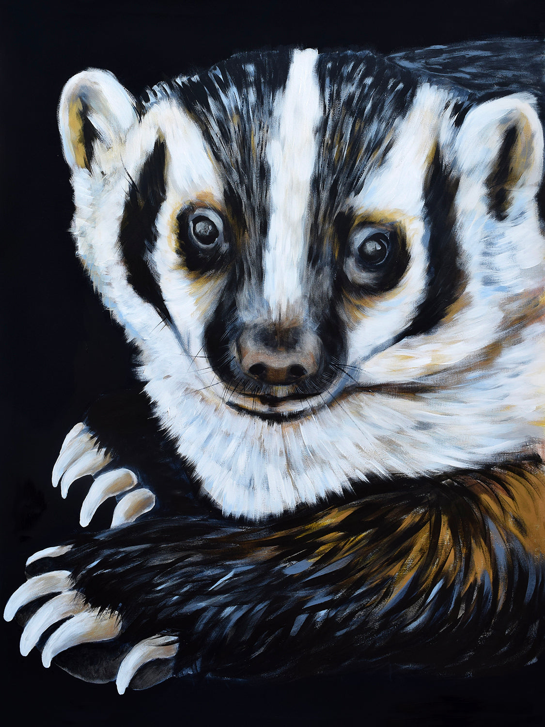 American Badger Drawing